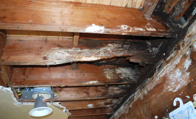 How does moisture get into your home? » Avelar Home Inspection Inc.
